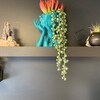 Whale Planter, Succulent Pot, Sea Creature, 3D Printed - Etsy