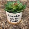 Your Custom Text Succulent Planter, Small Planter, Ceramic Planter Pot ...