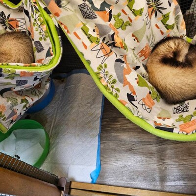 Mismatched Rat Cube Hammock UGLY DUCKLING Random rat Bed, Rat Cage Set ...