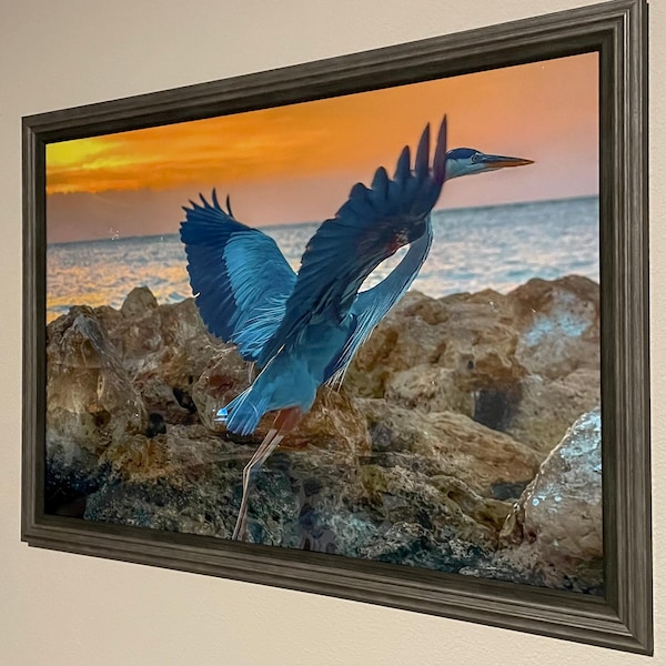 Wings of the Ocean, Anna Maria Island, Blue Heron Poster, Blue Heron ...