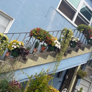 Planttraps Ledge Planter - Etsy