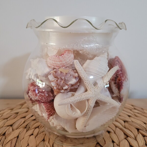 Extra Large Sea Urchins, Beach Decor, Coastal Decor, Coastal Homeware ...