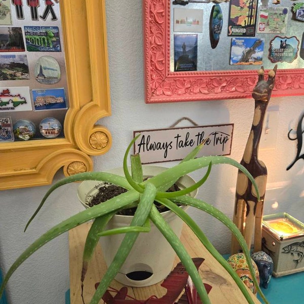 Doobie Den, Stoner Gift, Funny Marijuana Signs, Dispensary Decor ...