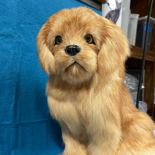 Realistic Labradoodle Dog Toy Lifelike Puppy Animal Figurines Statue ...