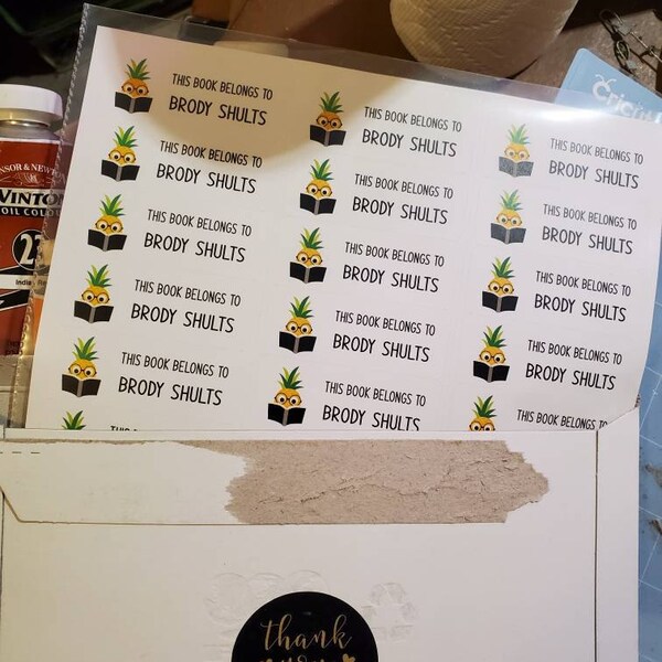 Pineapple Classroom Library Organization Book Labels, New Teacher ...