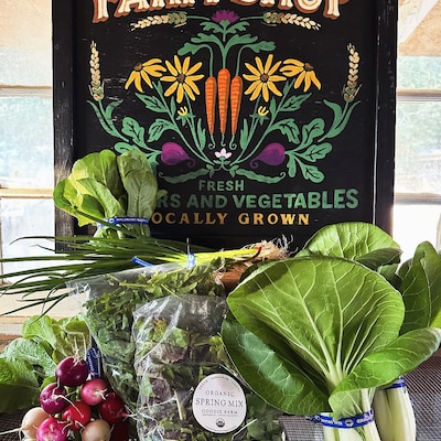 Cape Cod Sign, Cape Cod Wall Art, Beach House Sign Coastal Farmhouse ...