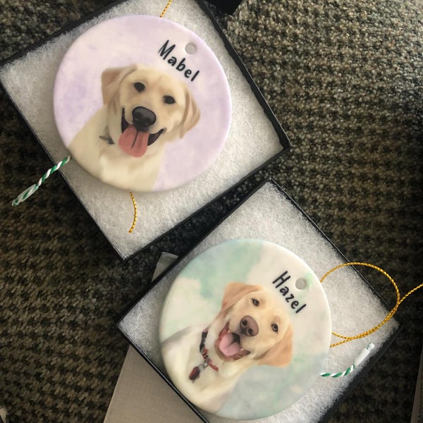 Custom Dog Bowl Using Pet Photo With Name Personalized Pet Bowl ...