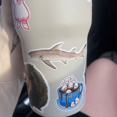 Shark Watercolor Glass Can Shark Conservation Gift Save the Sharks ...