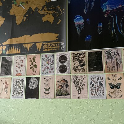 Natural Botanical Aesthetic Wall Collage Kit 20 Physical Prints - Etsy