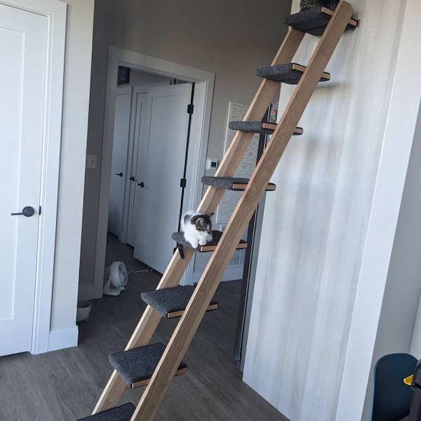 Cat Ladder - 8 Step Cherry Hardwood | Lets Cats Climb Indoors to Reach ...