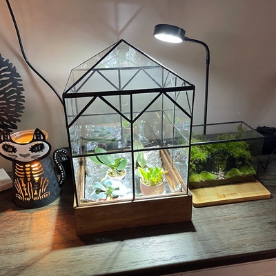 Dorman Terrarium - Etsy