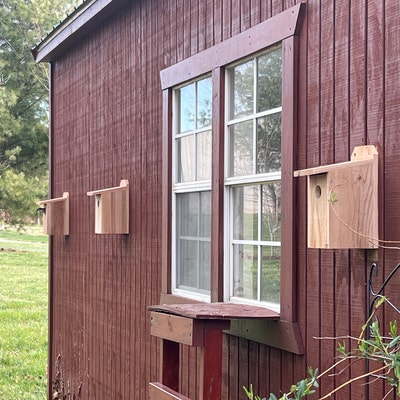 Redwood Bat Box Single Chamber Unassembled FUN Project With - Etsy