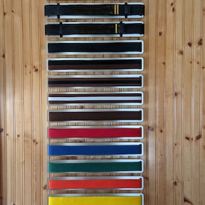 MMA Gateway Belt Display Modular Design Martial Arts Belt | Etsy
