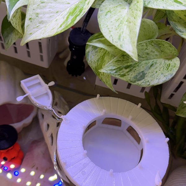 Floating Shrimp Dock Feeder: Aquarium Feeding Station - Etsy