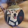 Pet ID Tag Crow Photo - Etsy
