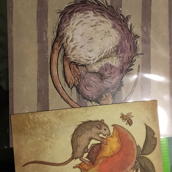 Sleeping Rat Art Print - Etsy