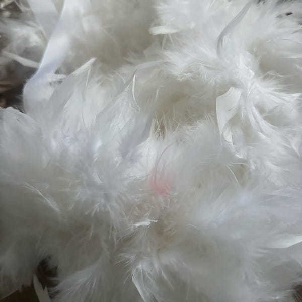 Simple Economical Feather Tail Fan Tail Back Bustle Boa Tutu Costume ...