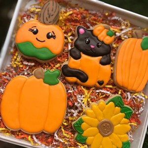 Sam Pumpkin Cookie Cutter - Etsy
