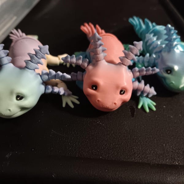 Cute 3D Printed Axolotl Fidget Toy, Articulated Fidget Toy, Sensory Toy ...