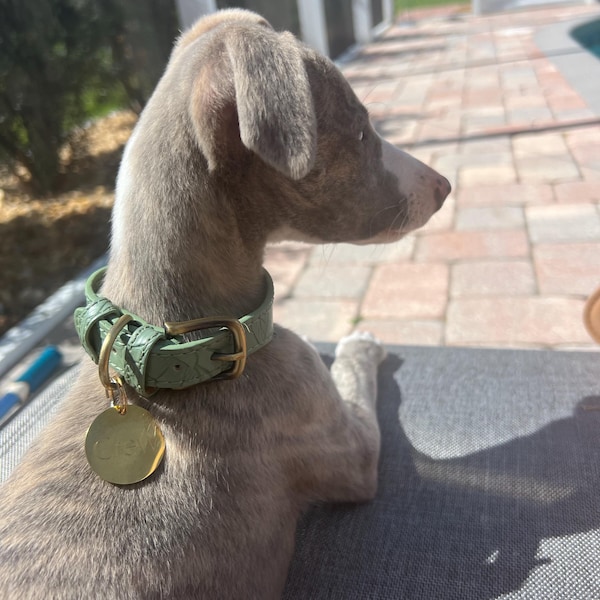 Personalized Gold Dog Tag Custom Engraved ID for Dogs Microchip ...