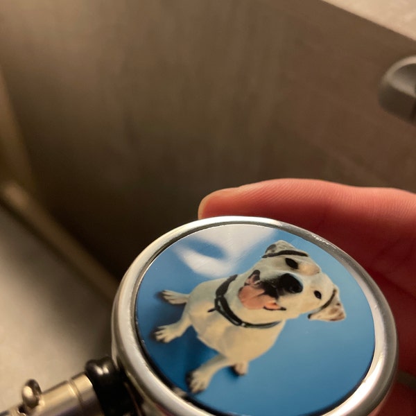 Female Body, Legs, Booty Outline Car, Window Vinyl Decal - Etsy