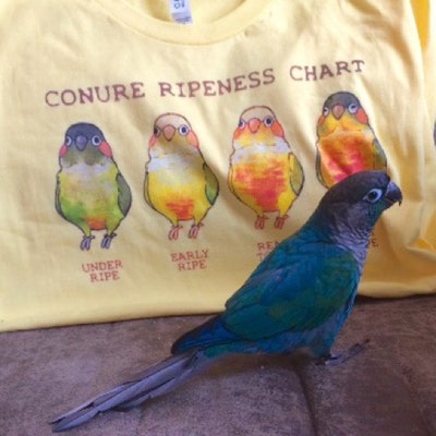 Conure Ripeness Chart T-shirt - Etsy