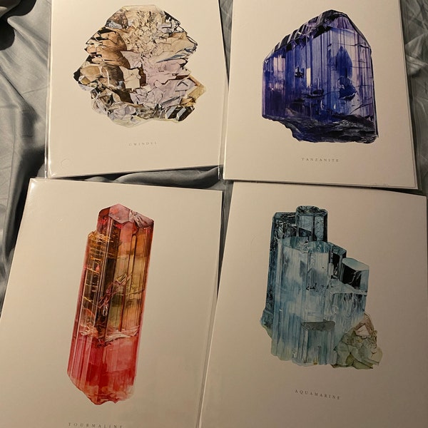 The Forager No. 1 Edible Wild Foods Poster, Foraging Poster, Edible and ...