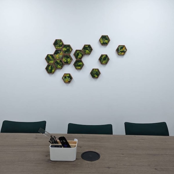 Moos Wandkunst Bienenwabe | Vier Größen, 5 x 6 Zoll, 8 x 9 Zoll, 10 x ...