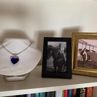 Barbasol Replacement Label, Digital Download Only. - Etsy Canada