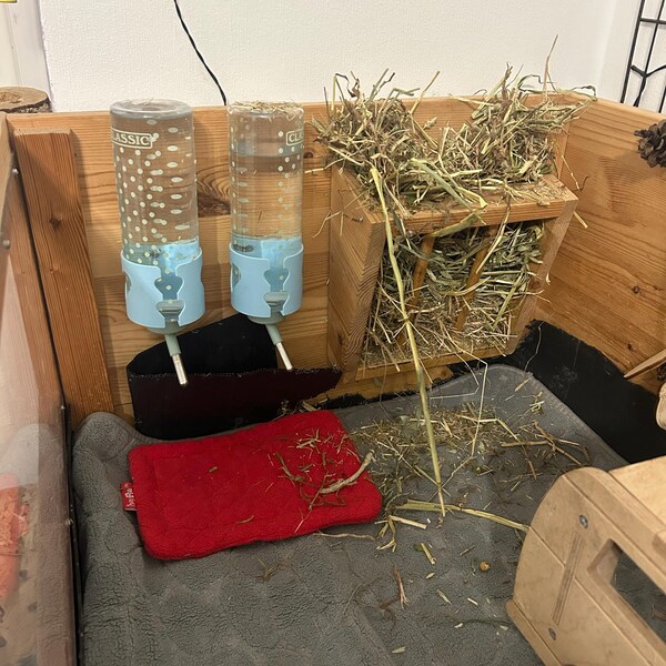 Flower Foraging Wheel, Rat Foraging Wheel, Rat Enrichment Toy, Bird ...