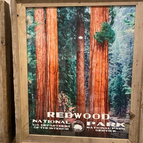 National Park Nursery Decor, Build Your Own Set of National Park Decor ...