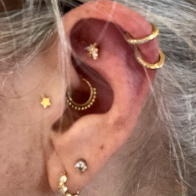 16G Tiny Shell Flower Stud Earring Helix Conch Cartilage Ear Studs ...