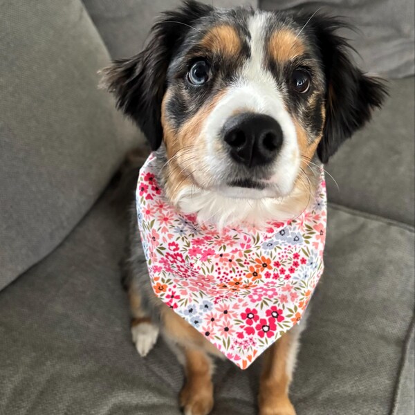 Dog Hair Bow for Dogs, Dog Hair Clip, Fall Hair Dog Bows, Hair Clip for ...