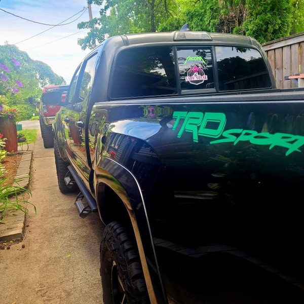 Paramotor Ppg Powered Paraglider Vinyl Decal Sticker 2 Pack USA - Etsy