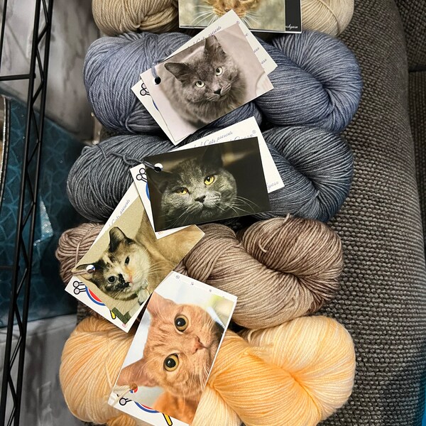 Toe Beans, Sock Club, 85/15 Superwash Merino/nylon Blend, 480 Meters ...