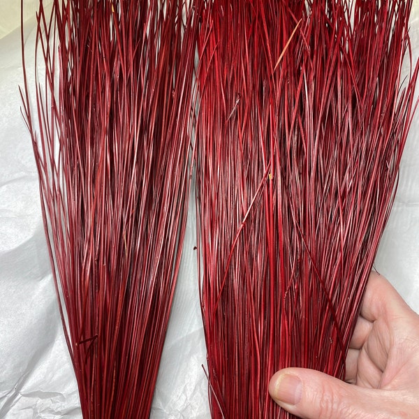 12 to 18 Inch Long Dyed or Natural Florida Long Leaf Pine Needles - Etsy