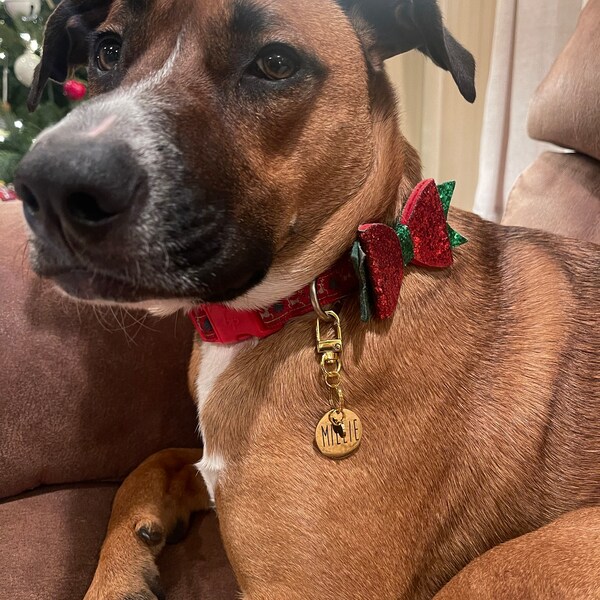 Microchip Dog Tag, Custom Dog Tag, Microchipped, Pet Tag, Dog ID Tag ...