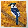 Blue Jay Paper Piecing Pattern - Etsy