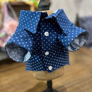 Isabella Dog Dress 3X Sewing Pattern PDF Big Dog Clothes - Etsy