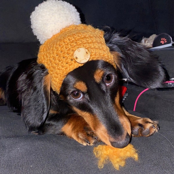 Dog Beanies, Crochet, Sausage Dog, Dachshund, Weiner Dog, Beanie, Large ...