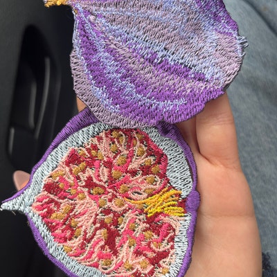 Moks311p Numbat Animal Embroidered Patch, Insectivorous Marsupial Patch ...