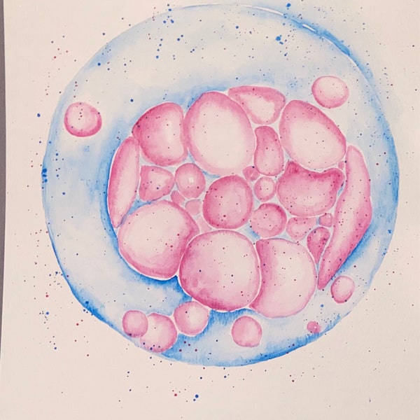 Custom Embryo Watercolor Painting - Etsy