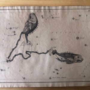 Python mercurius as Three Headed Dragon, Alchemy, Alchemy Occult Print ...