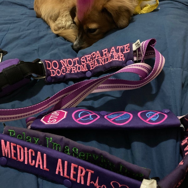 Leash Sleeve or Collar Wrap, Your Text Here, Customizable, Custom ...