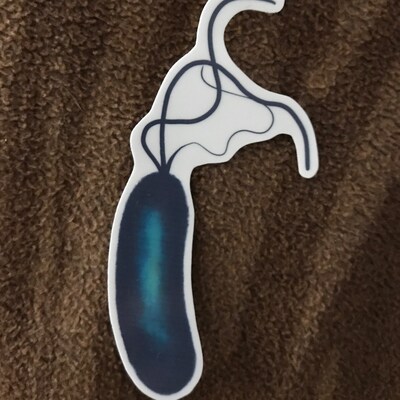 Bacteria Sticker Science Stickers Science Laptop Stickers - Etsy