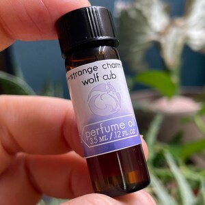 Black Cauldron Bath Salts, Goth Gift, Epsom Salt, Dead Sea Salt, Luxury ...