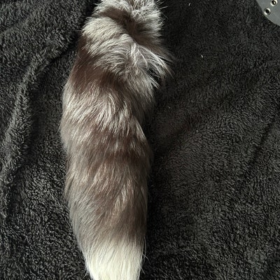 Large Silver Fox Tail, Fox, Tail, Silver Fox Tail, Fur Tail, Fox Fur ...