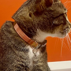 Brass Dog Tag, Personalized Brass Pet ID Tag, Custom Cat Tag, Unique ...