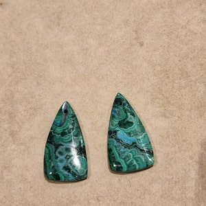 Pink Conch Shell made of Powder of Shell Color is Enhanced - Etsy