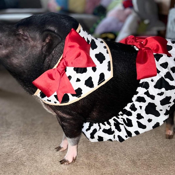 Moo! Skirt & Scarf Set, Pig Clothes, Mini Pig - Etsy
